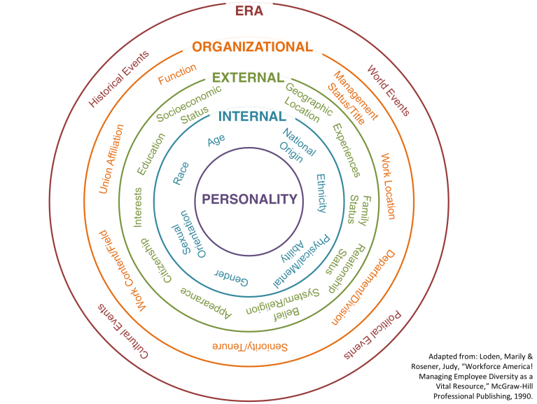 A Look at Diversity Wheels | Living the Learning Curve