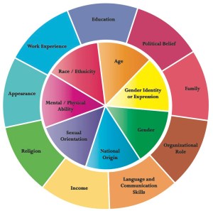 A Look at Diversity Wheels | Living the Learning Curve